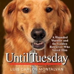Golden Retriever “Tuesday” and a war hero help to save each other ...